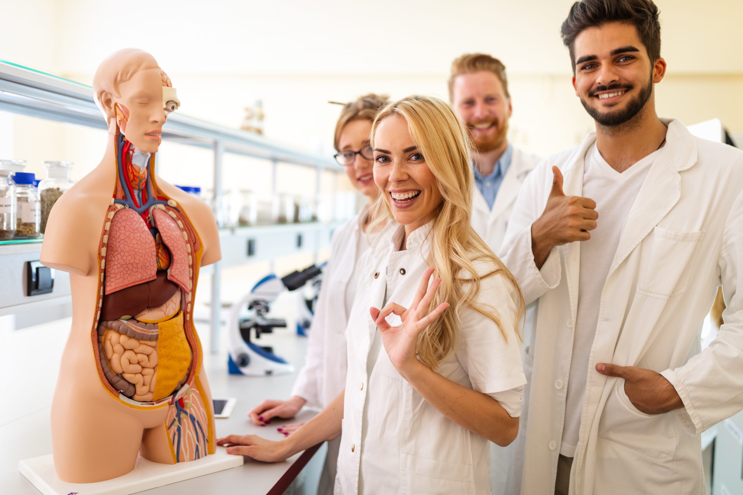 Mapa do estudante de medicina | MEM - Melhores Escolas Médicas