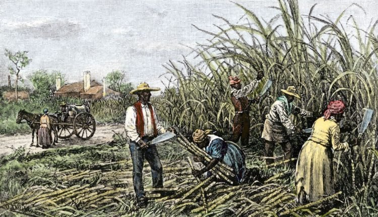 Brasil Colônia: o que preciso saber? - MEM